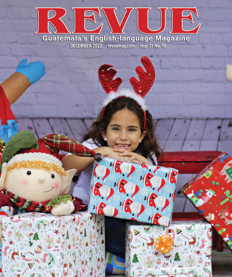 The Stela and the Wasps – Revue Magazine